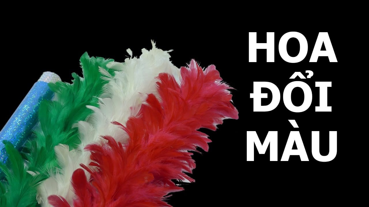 Color change chicken feather broom - 7 Magic Inc